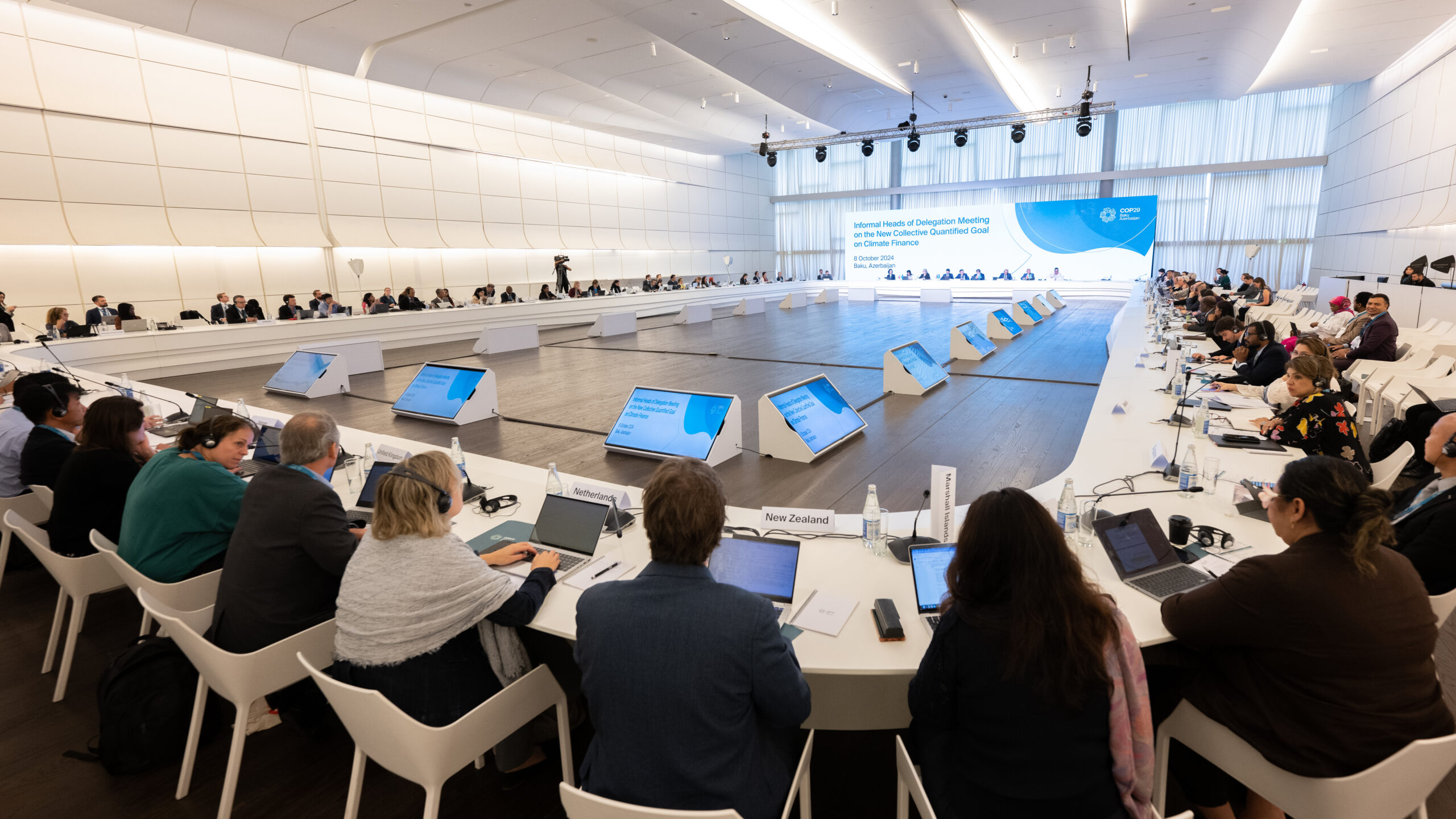 COP Daily – live aus Baku! - Fridays for Future Berlin